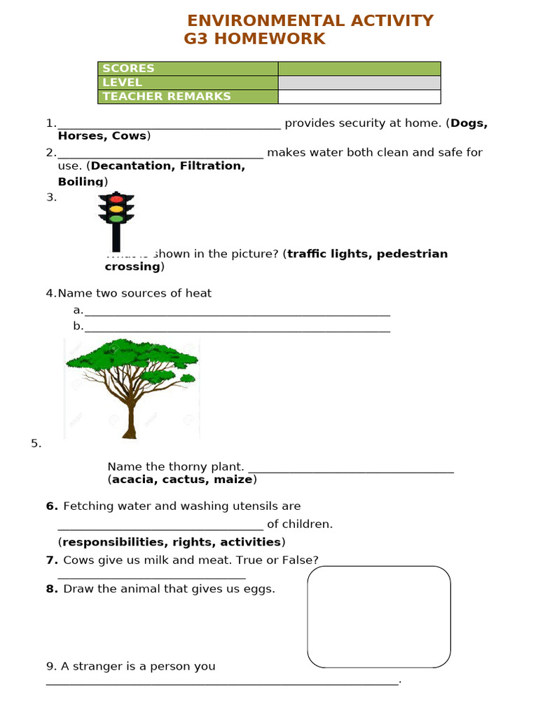 G3 Integrated Homework | PDF