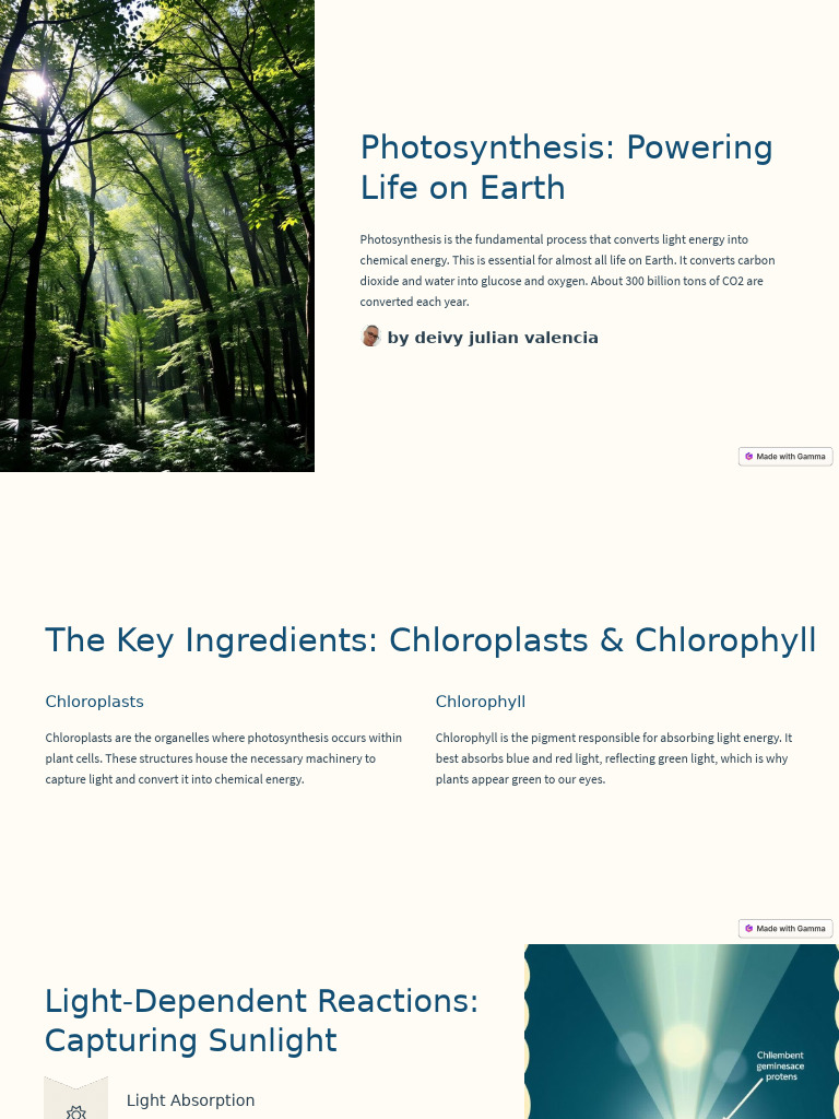 Photosynthesis: Essential Life Process | PDF | Photosynthesis | Carbon ...
