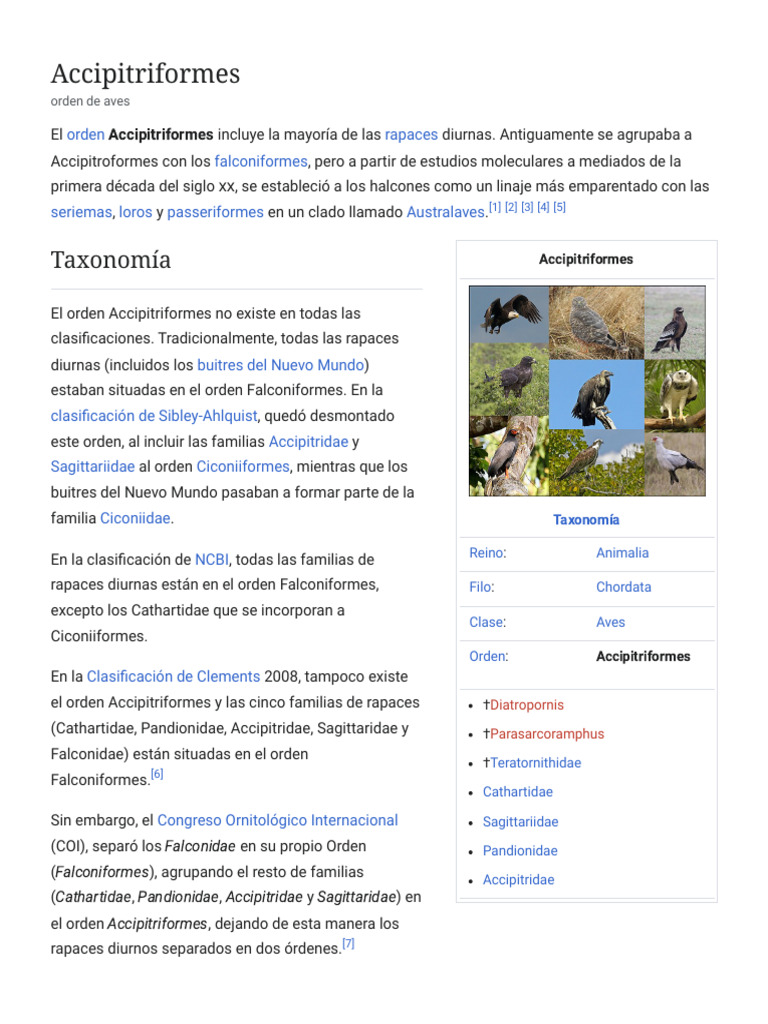 Orden Accipitriformes: Clasificación y Características | PDF | Aves ...