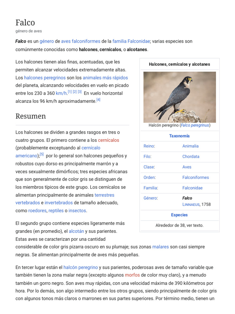 Falco - Wikipedia, La Enciclopedia Libre | PDF | Métodos de caza | Taxonomía (biología)