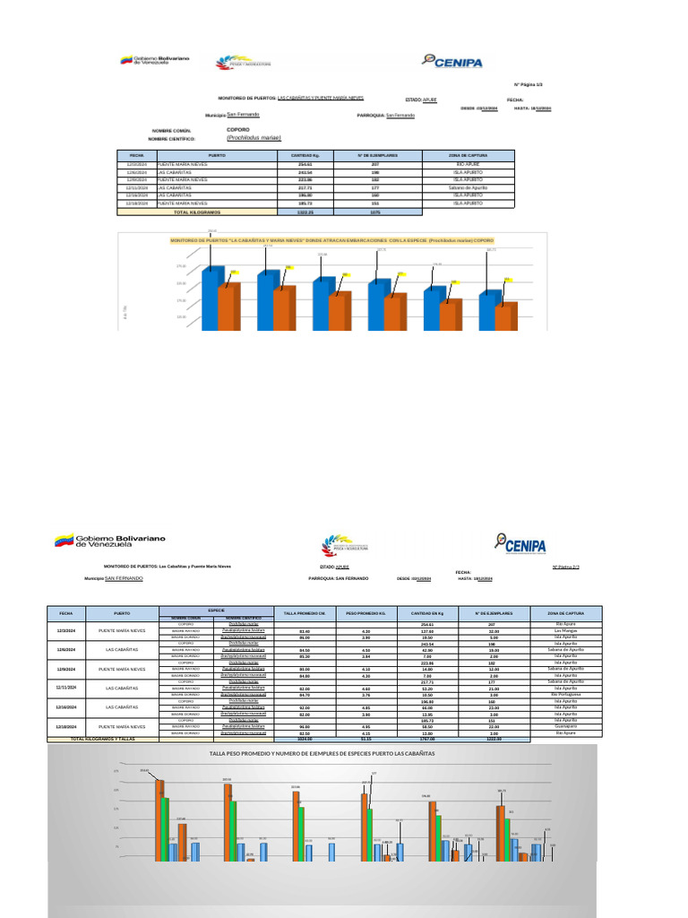 Monitoreo de Coporo en Apure | PDF