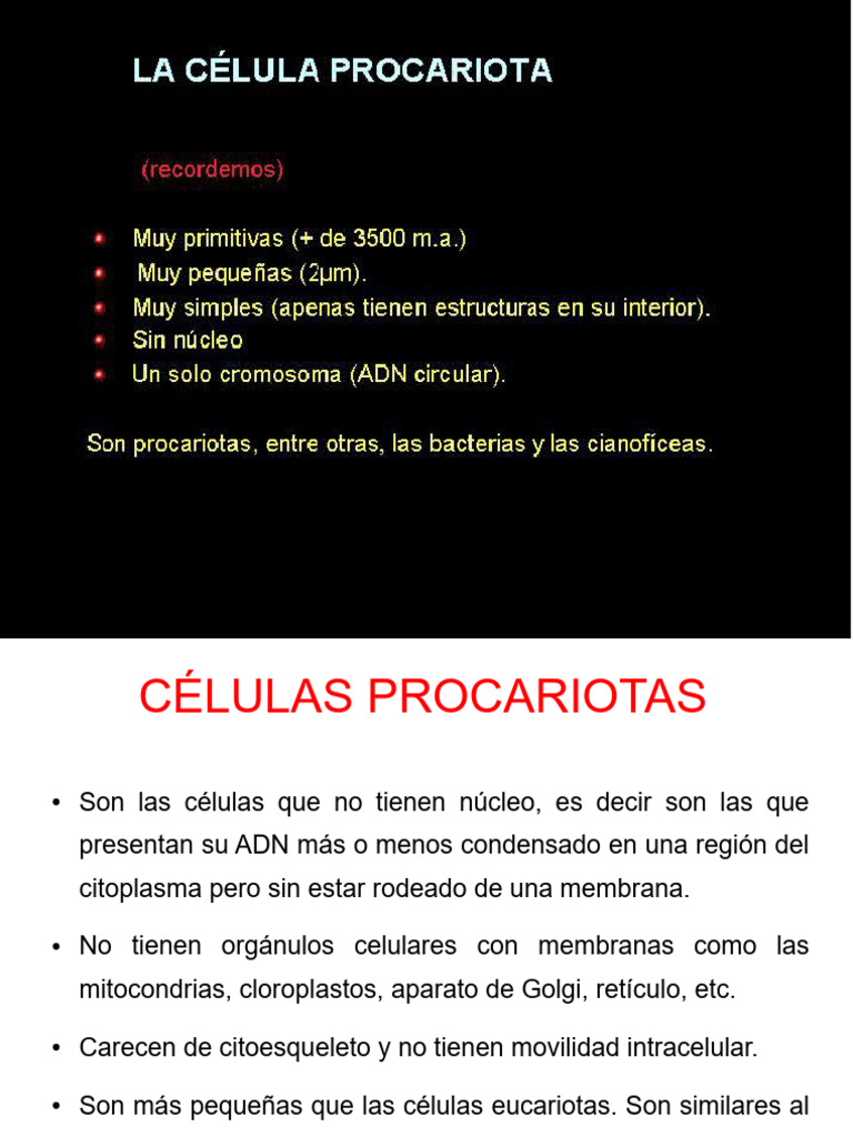 UD 1.2d La célula procariota | PDF