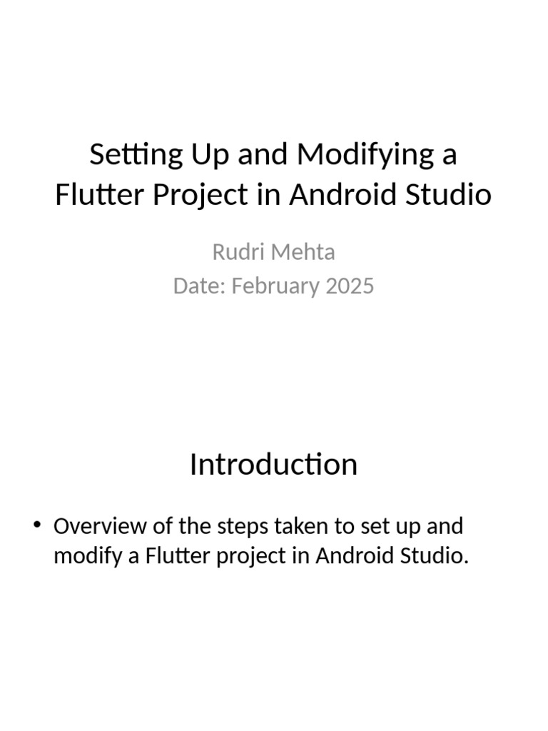 Flutter Project Setup | PDF