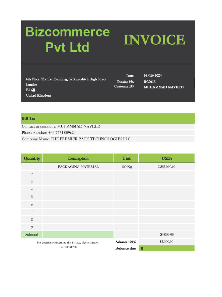 3000 Invoice | PDF