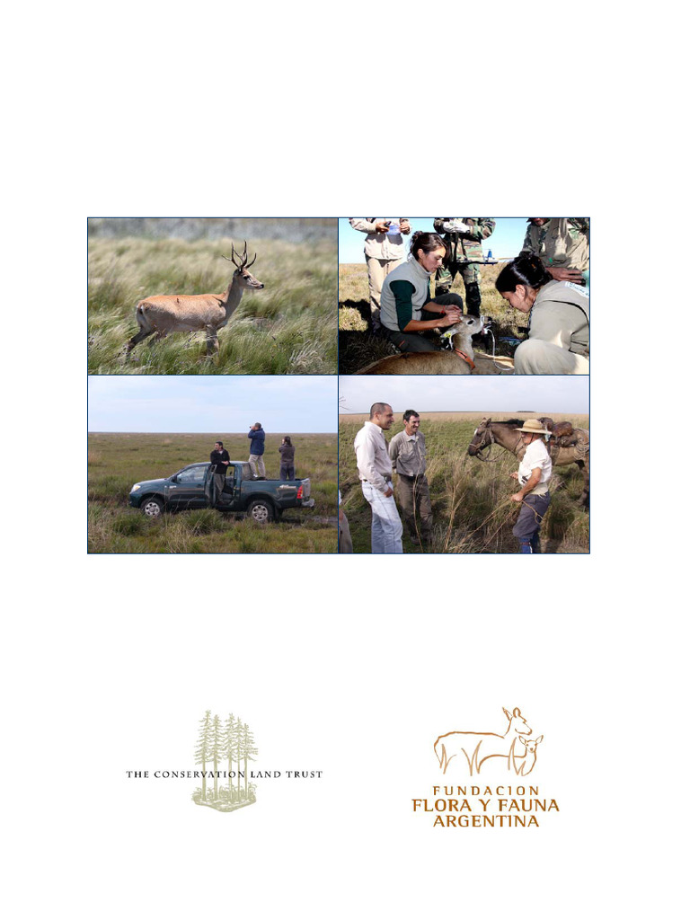 Proyecto Restauracion Venado | PDF | Habitat | Biología