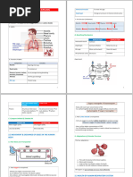 ? IGCSE Biology Chapter 11 Notes | PDF | Respiratory System ...