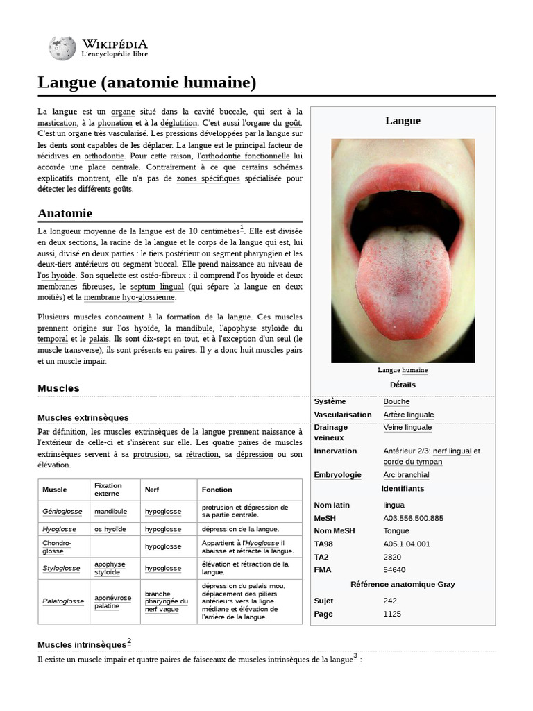 Anatomie et Muscles de la Langue | PDF | Langue | Goût