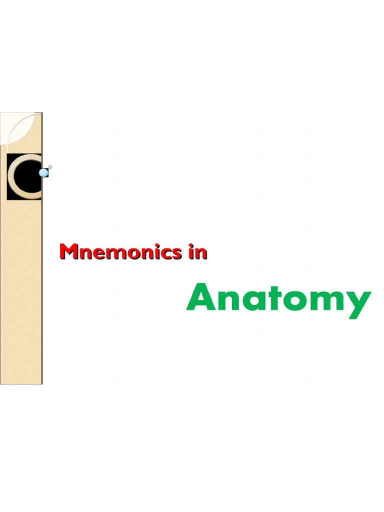 Anatomy Mnemonics | PDF