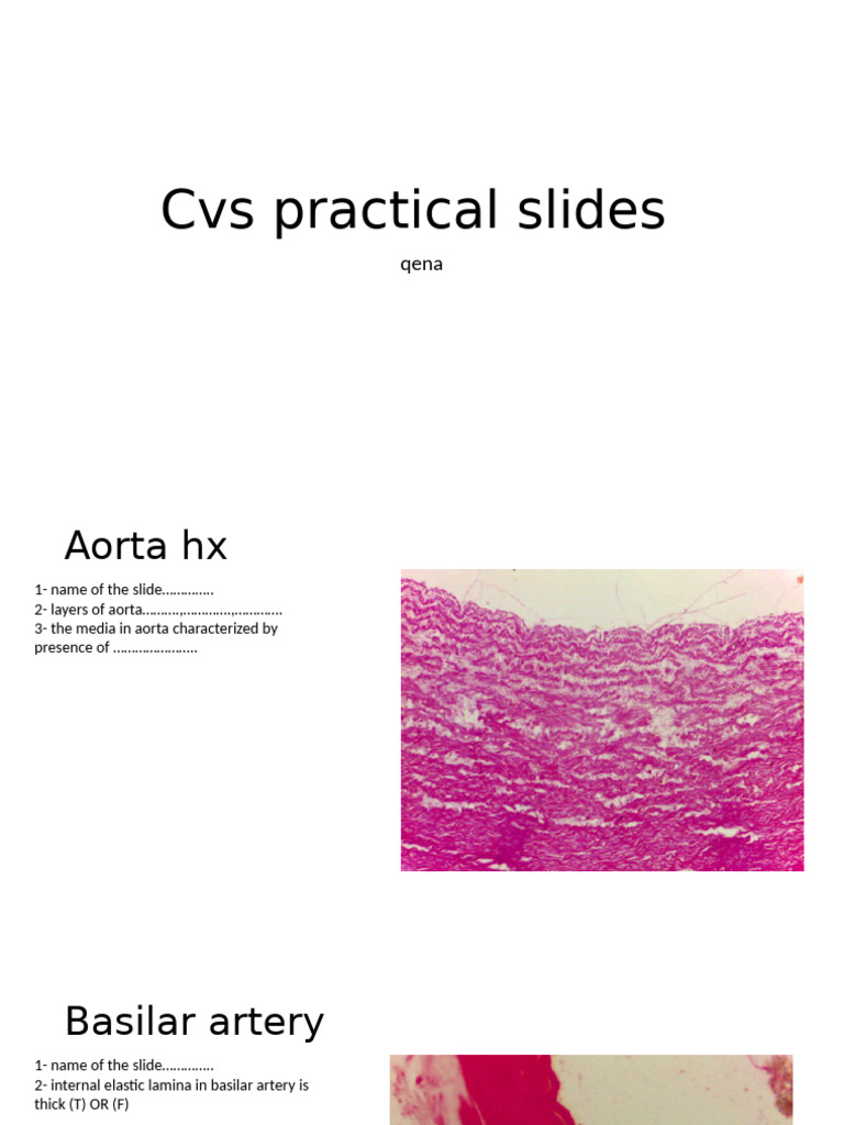Cvs Practical Slides | PDF