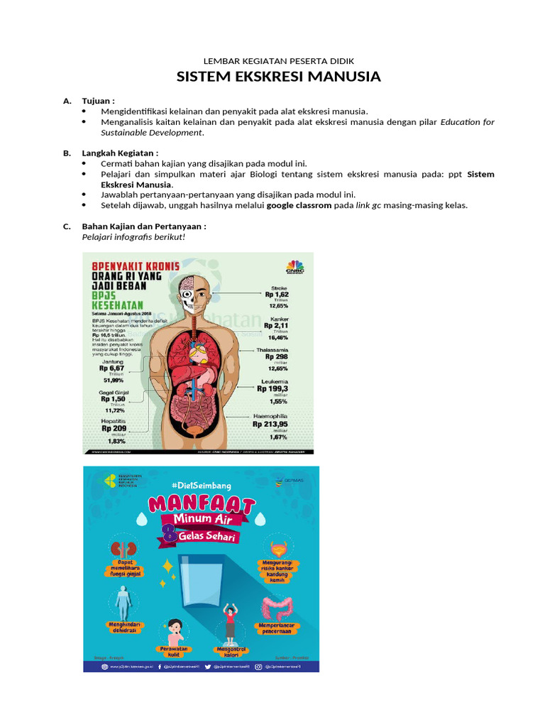 LKPD - Sistem Ekskresi Manusia Anindya Diaz Lutfian A (XI MIPA 1) | PDF