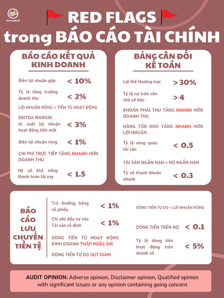 Financial Statements Red - Green Flag | PDF