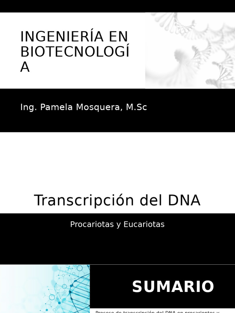 3.2 Transcripción en Procariotas y Eucariotas | PDF | Rna | Adn