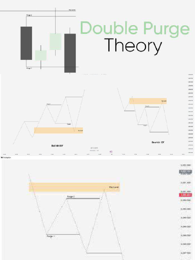 Double Purge Theory (Fail) | PDF