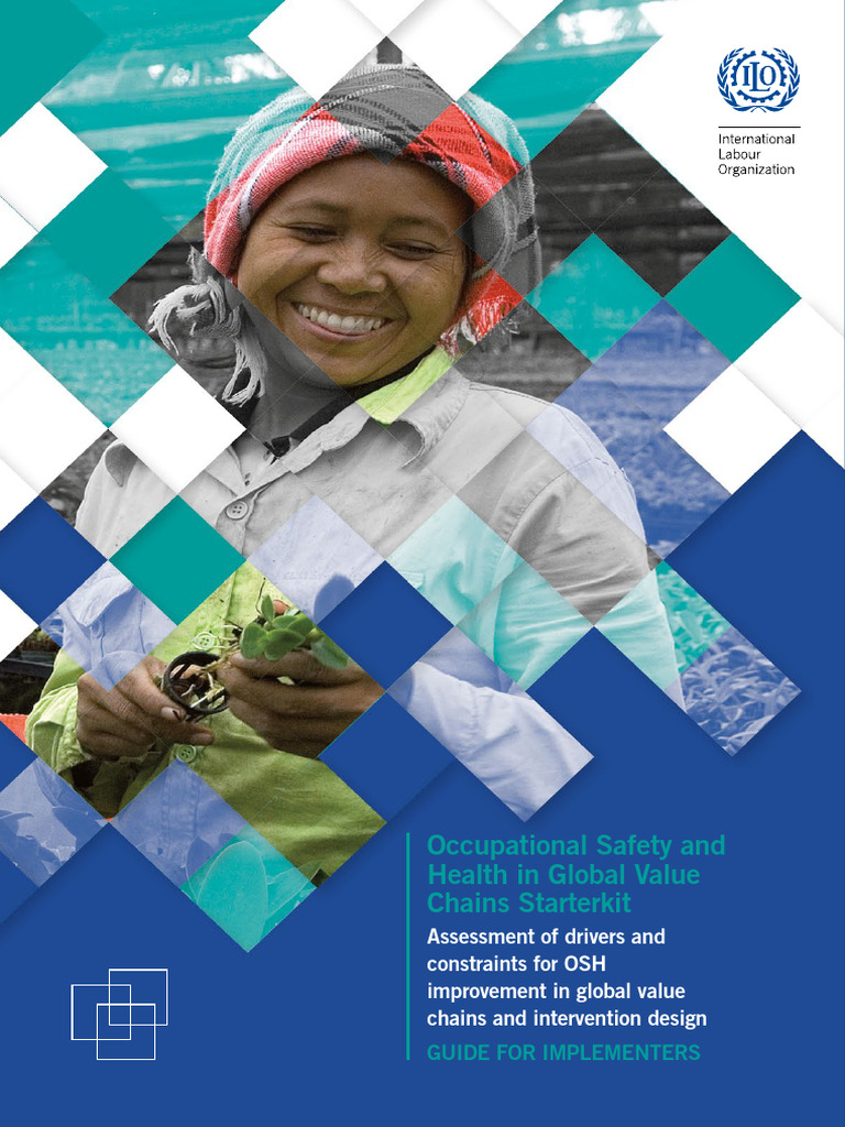 Global Value Chains OSH Starterkit Guide | PDF | Occupational Safety ...
