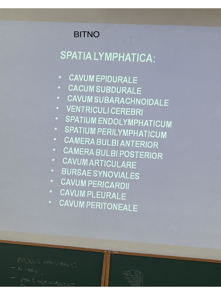 Anatomija Limfni Sistem (1) | PDF