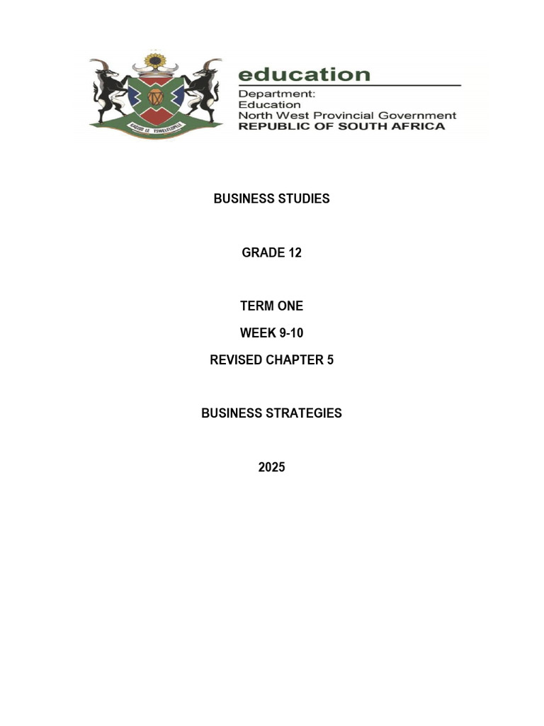 Final 2025 Grade 12 Notes Business Strategies | PDF | Strategic ...