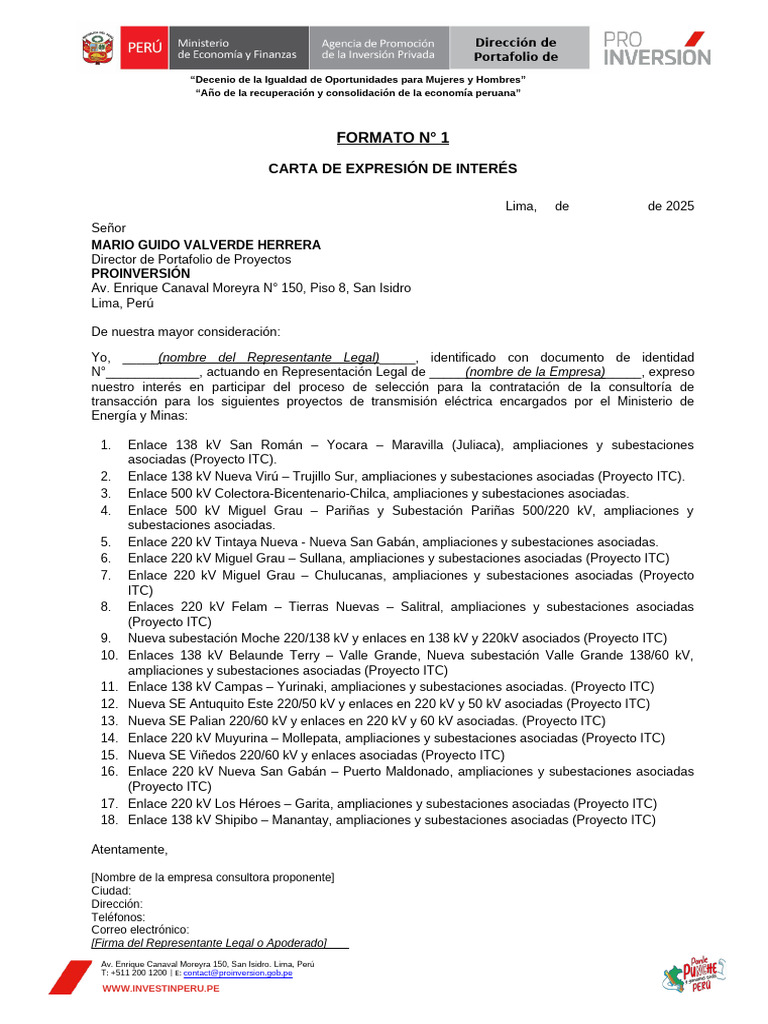 21 Formato 1 Carta de Expresion de Interes 060325 | PDF