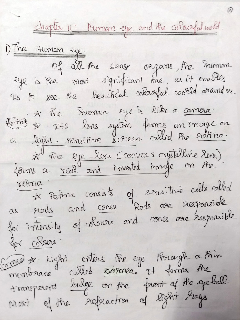 Class X Human Eye Notes | PDF