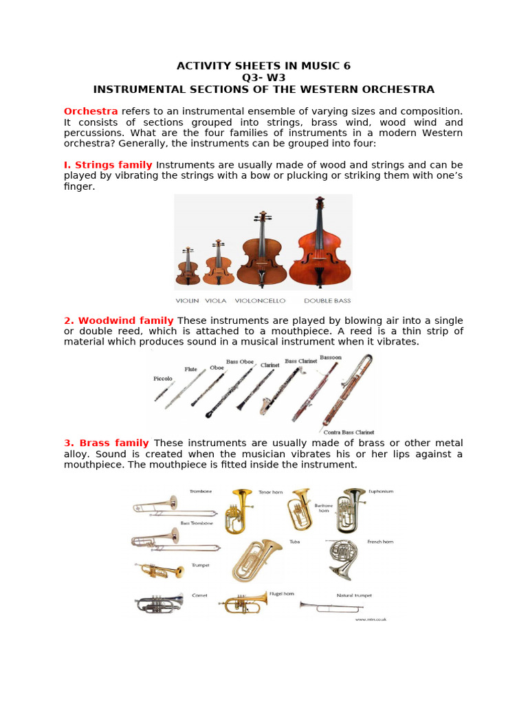 Instrumental Sections of The Western Orchestra | PDF