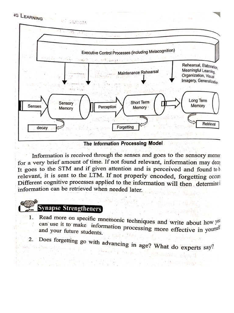Lesson 9-10 | PDF