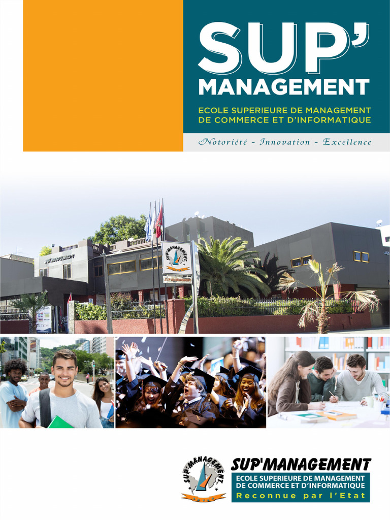 Brochure Sup Management | PDF