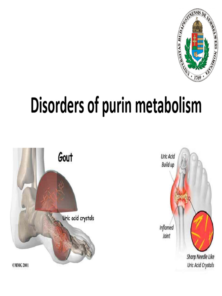 Evaluation of The Purin Metabolism | PDF | Gout | Diseases And Disorders