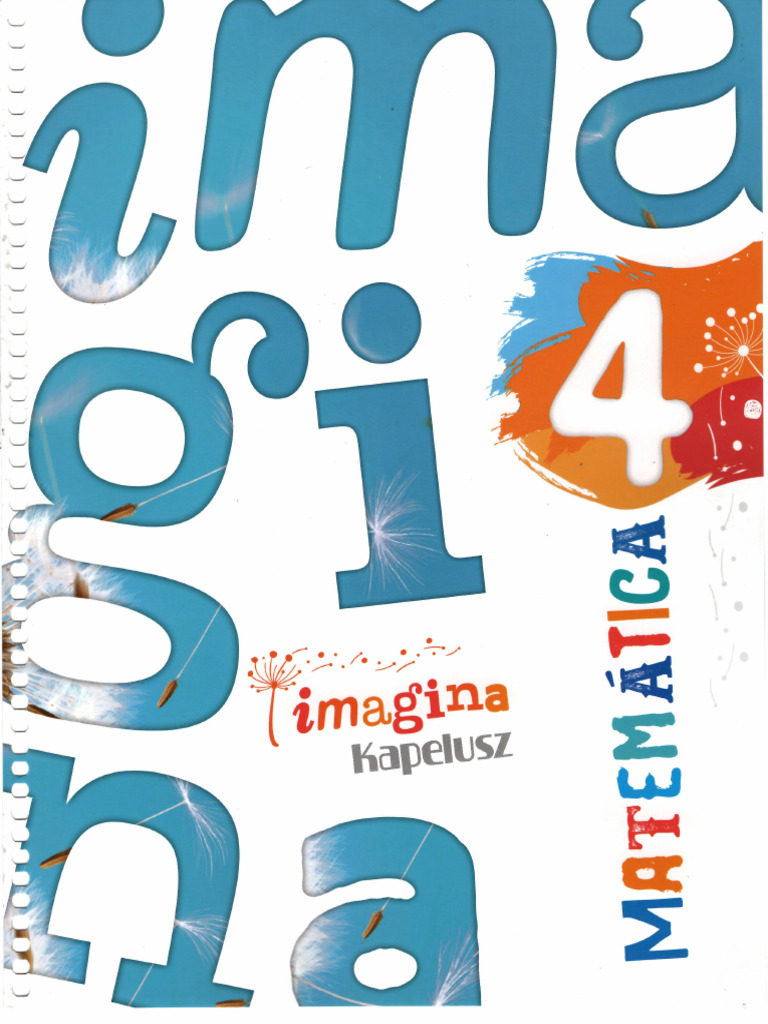 Matemática 4 Imagina | PDF