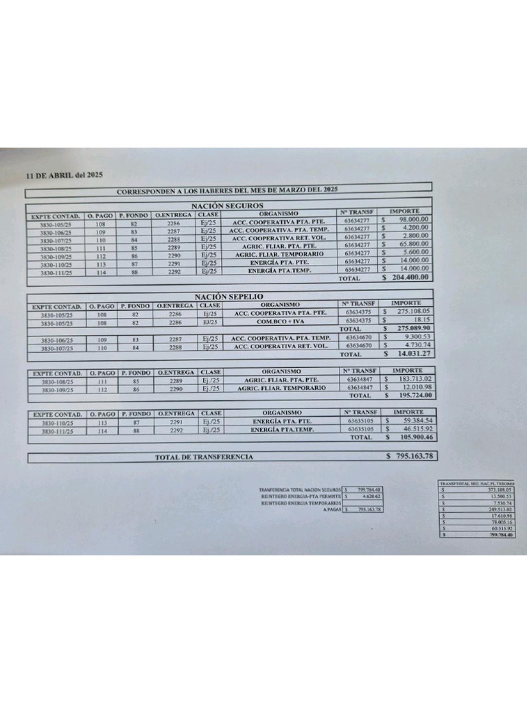 Seguro y Sepelio Nación Mes MARZO-25 | PDF