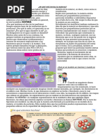 Modelos Corpusculares de Mezclas | PDF