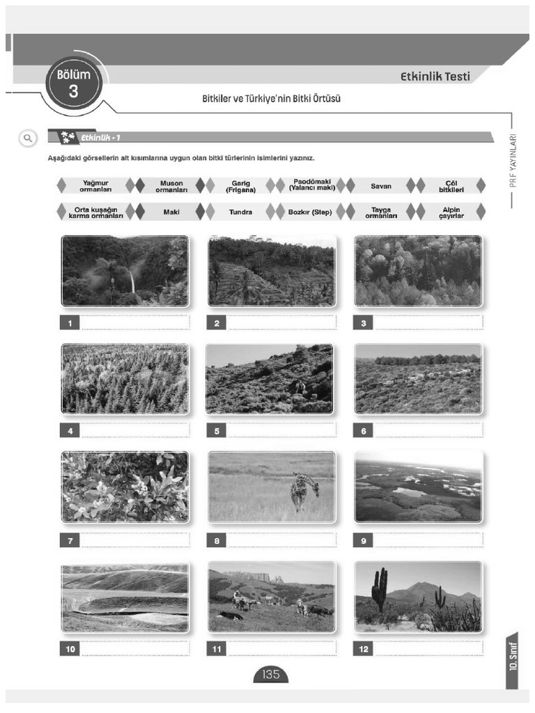 10 PARAF 135-136 | PDF