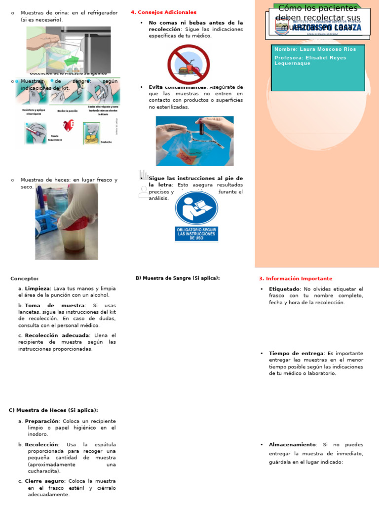 Triptico Final | PDF