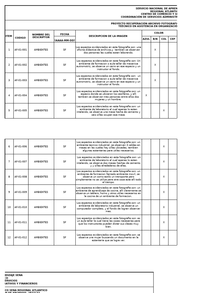 FORMATO METADATOS DESCRIPTORES FOTOGRAFICOS ADRIANA | PDF