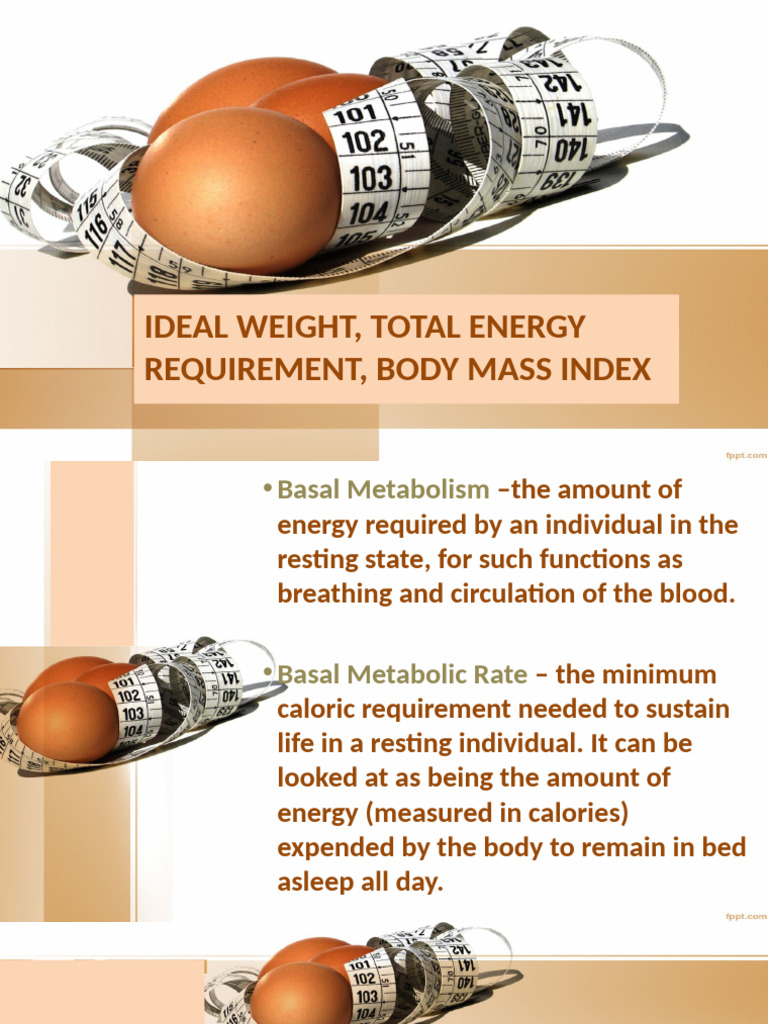 Understanding BMR, BMI, and TER Factors | PDF | Nutrition | Diet ...