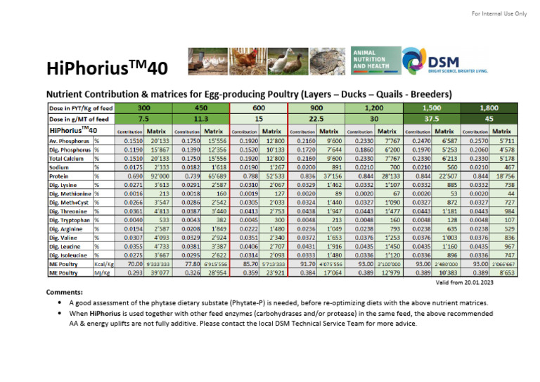 HiPhorius Nutrient Guidelines for Poultry | PDF