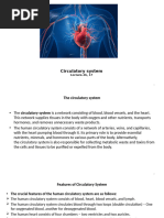 Human Circulatory System | PDF | Blood Vessel | Heart