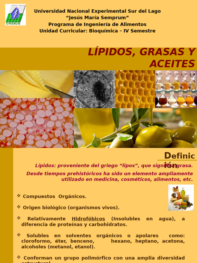 Clase Tema 3 - LIPIDOS - Bioquimica - IV Semestre - Ing Alimentos - Prof Rona | PDF | Lípido ...
