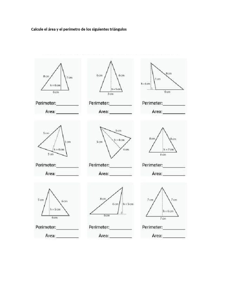 Calcule El Área y El Perímetro de Los Siguientes Triángulos | PDF