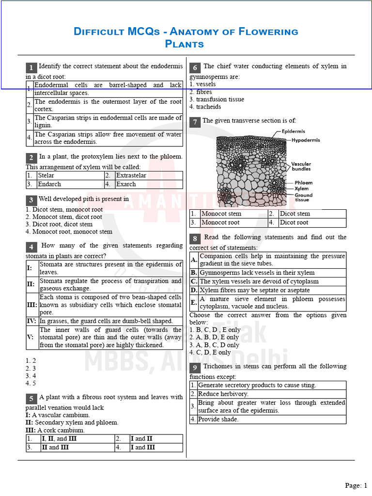 MCQs on Anatomy of Flowering Plants | PDF | Plant Stem | Stoma