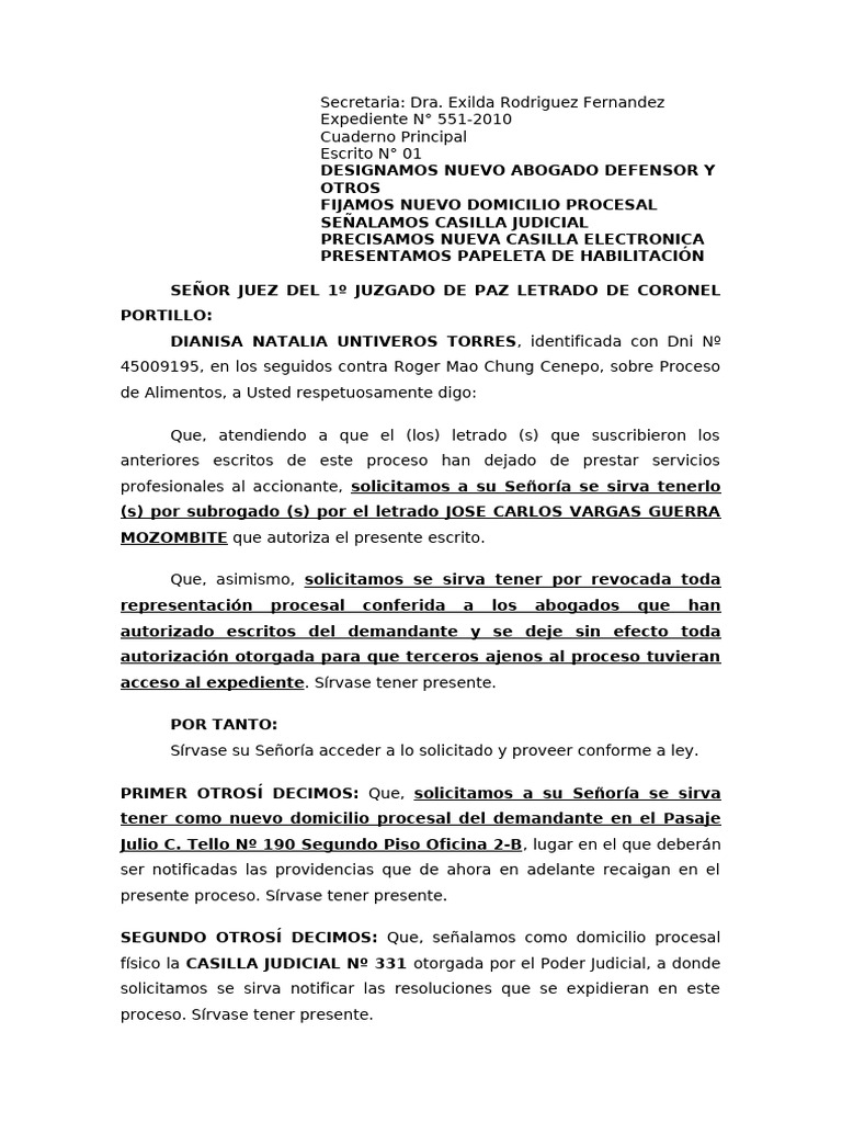 Designo Nuevo Abogado Defensor | PDF | Justicia | Crimen y violencia