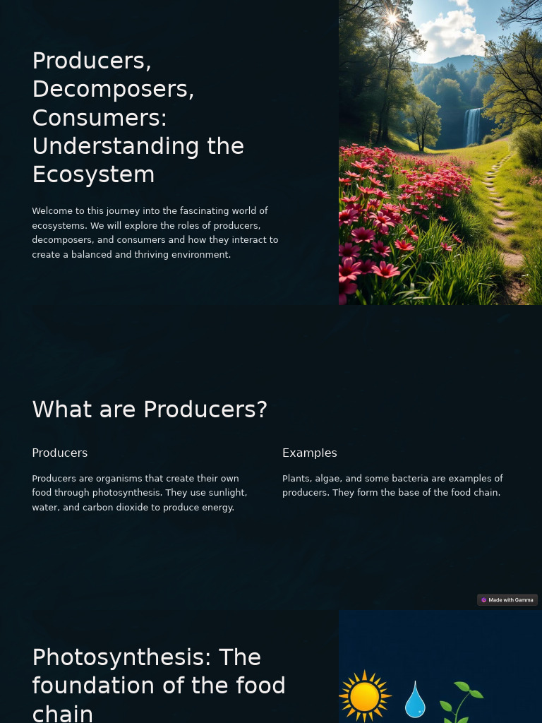 Producers_Decomposers_Consumers_Understanding_the_Ecosystem_1 | PDF ...