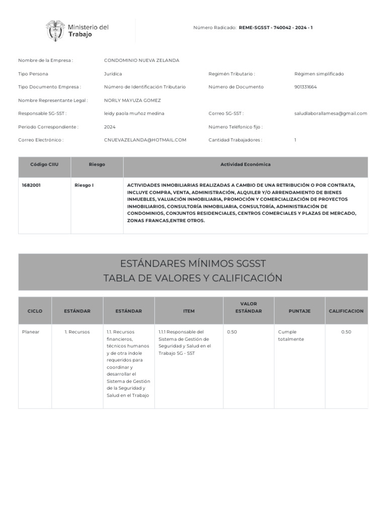 Resultados Calificacion de Estandares Minimos | PDF