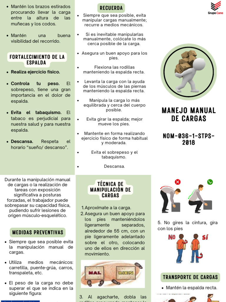 Triptico Nom-036-1-Stps-2018 | PDF | Rodilla