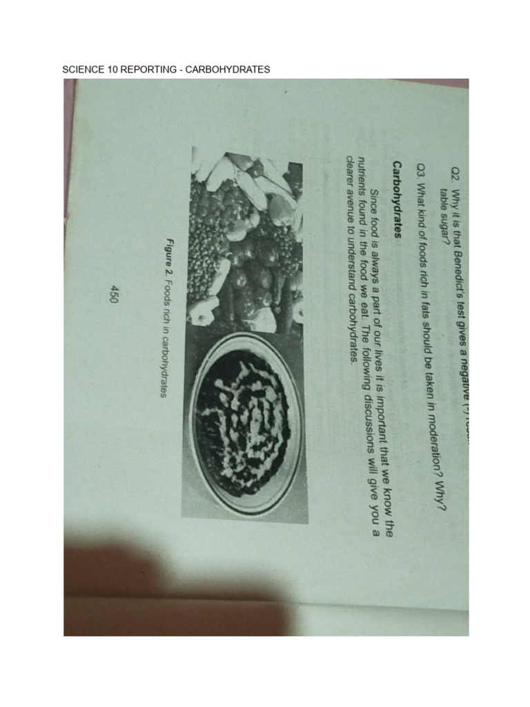 Group 1 Science Report | PDF