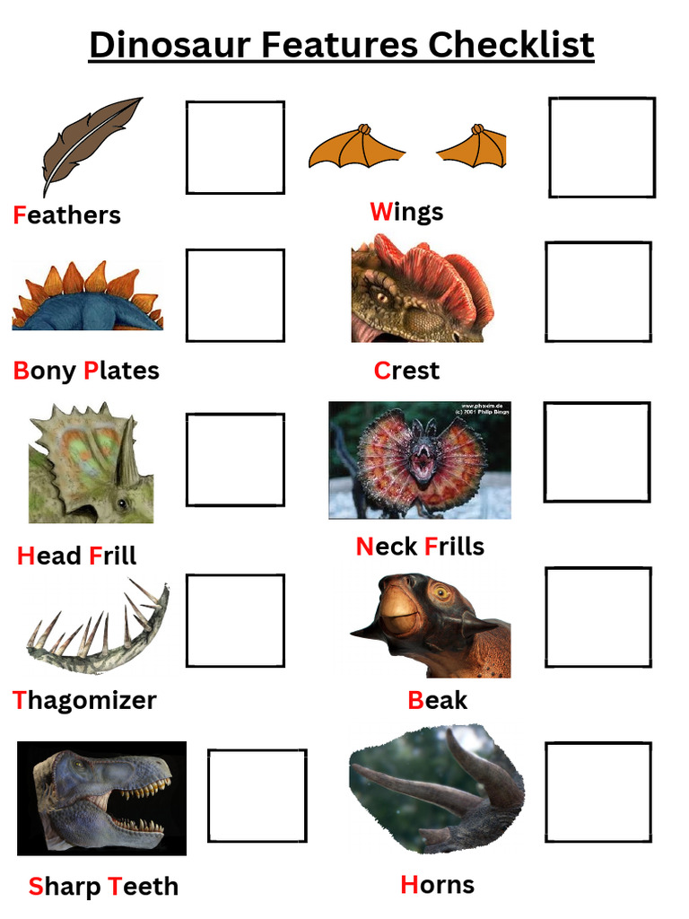 Dinosaur Features Checklist | PDF