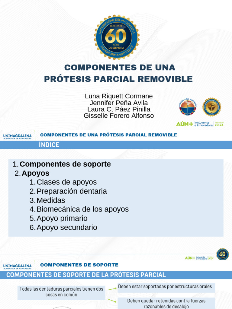 REMO EXPO - PPTX - 20240910 - 124029 - 0000 | PDF | Diente | Ramas de Odontología