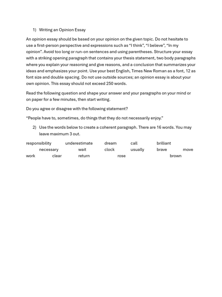 Opinion Essay 2 & Paragraph Making | PDF