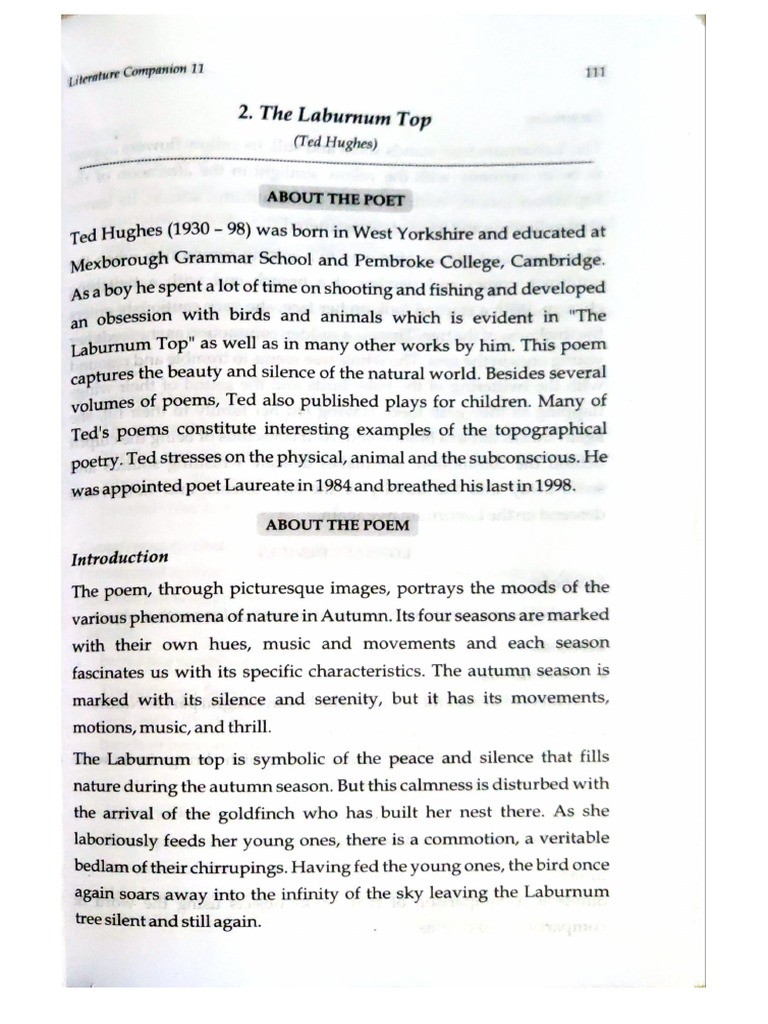 The Laburnum Top | PDF