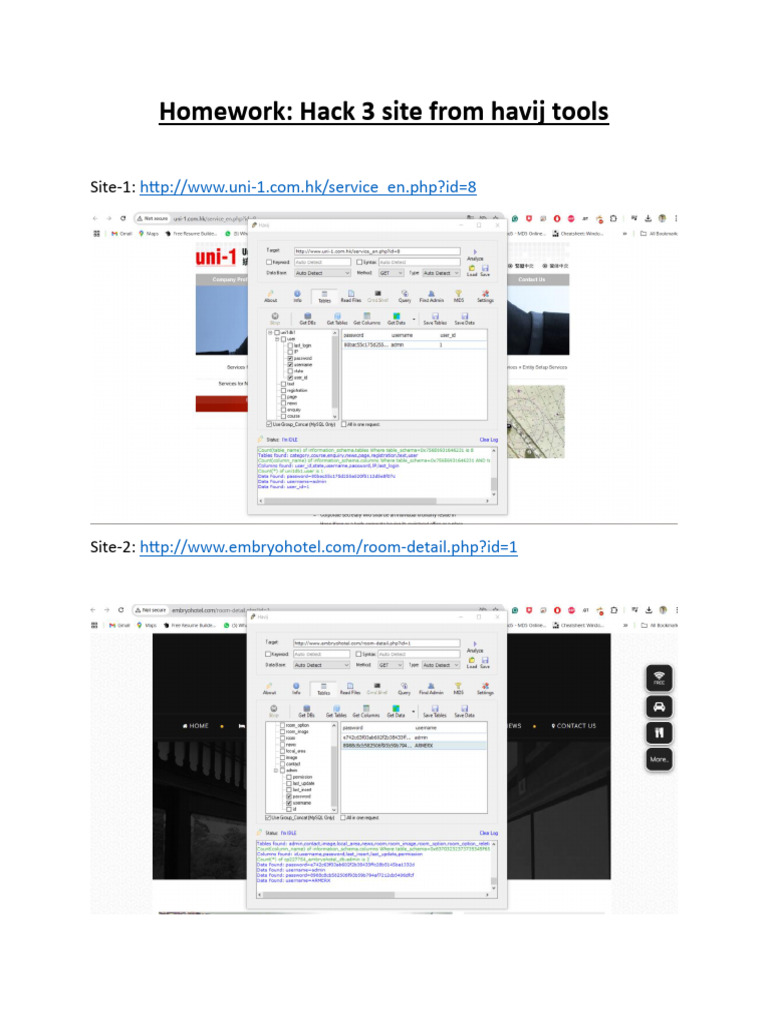 Homework-havij_tools | PDF