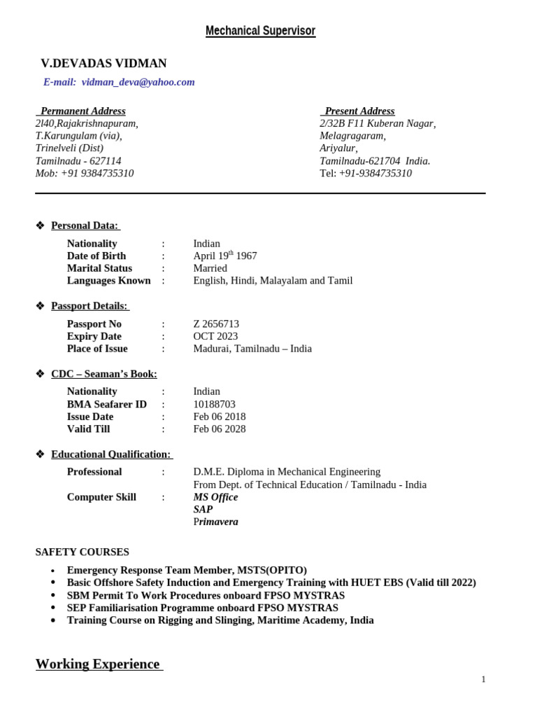 Vidman Mechanical Supervisor CV | PDF | Pump | Valve