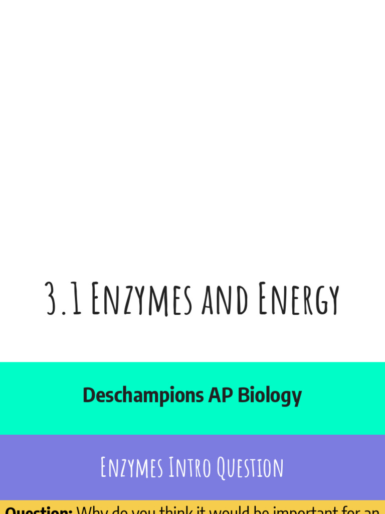 Enzymes in Biological Reactions | PDF | Cellular Respiration | Enzyme